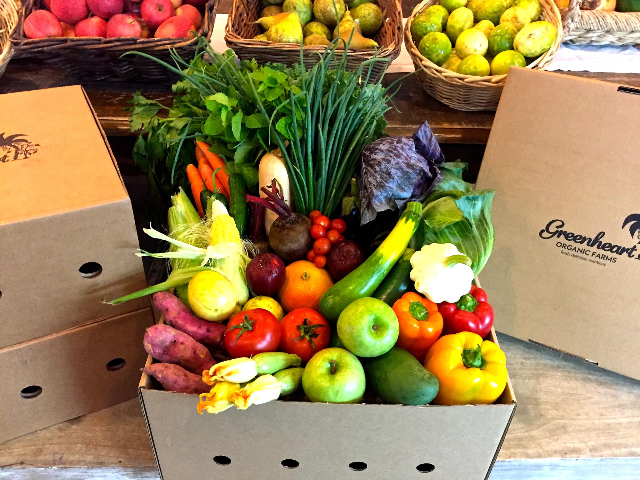 From Plot To Plate - Five Sustainable UAE Eateries Getting It Right