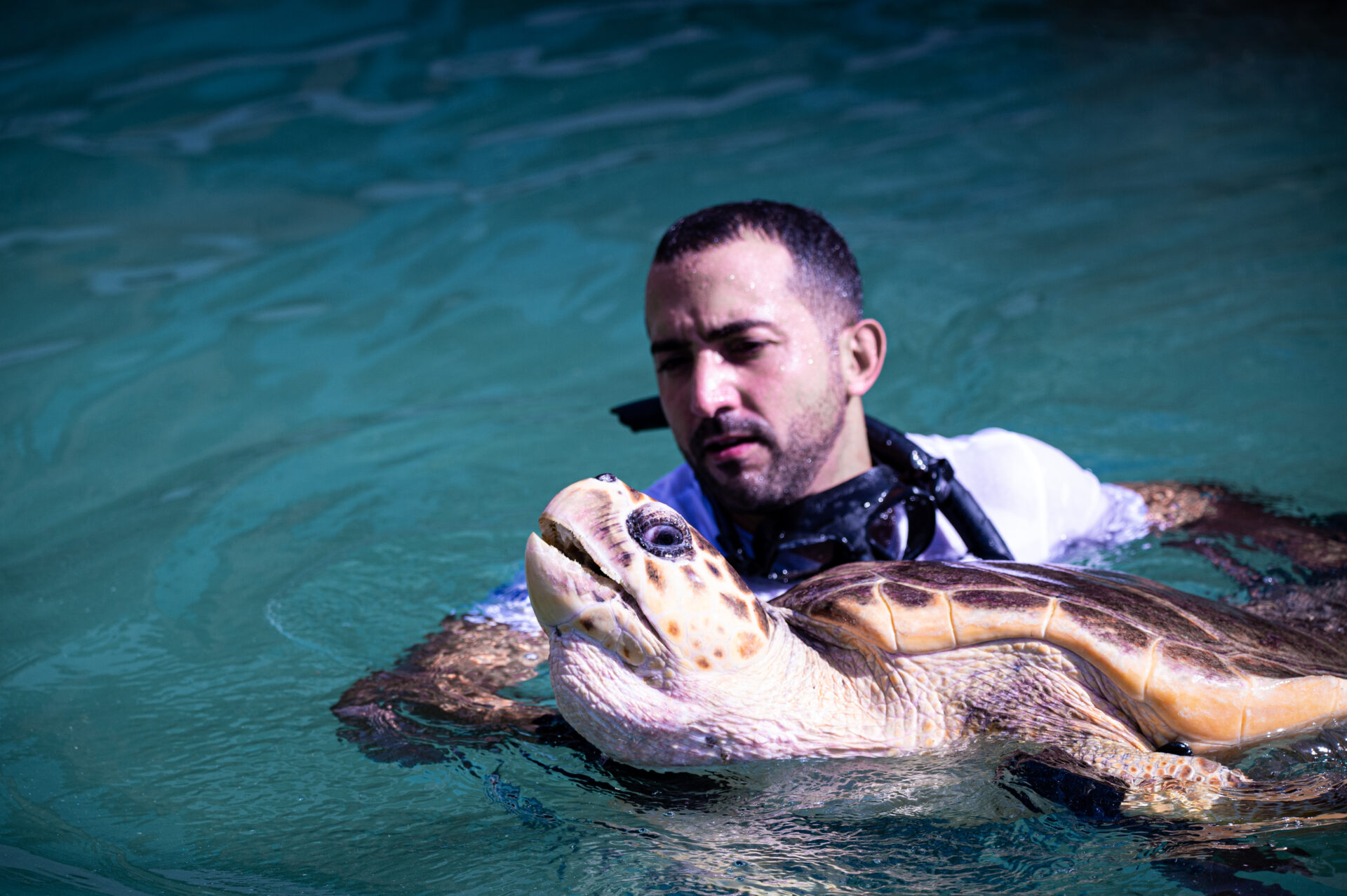 The Turtle Sheikh Saving One Of The World’s Oldest Species