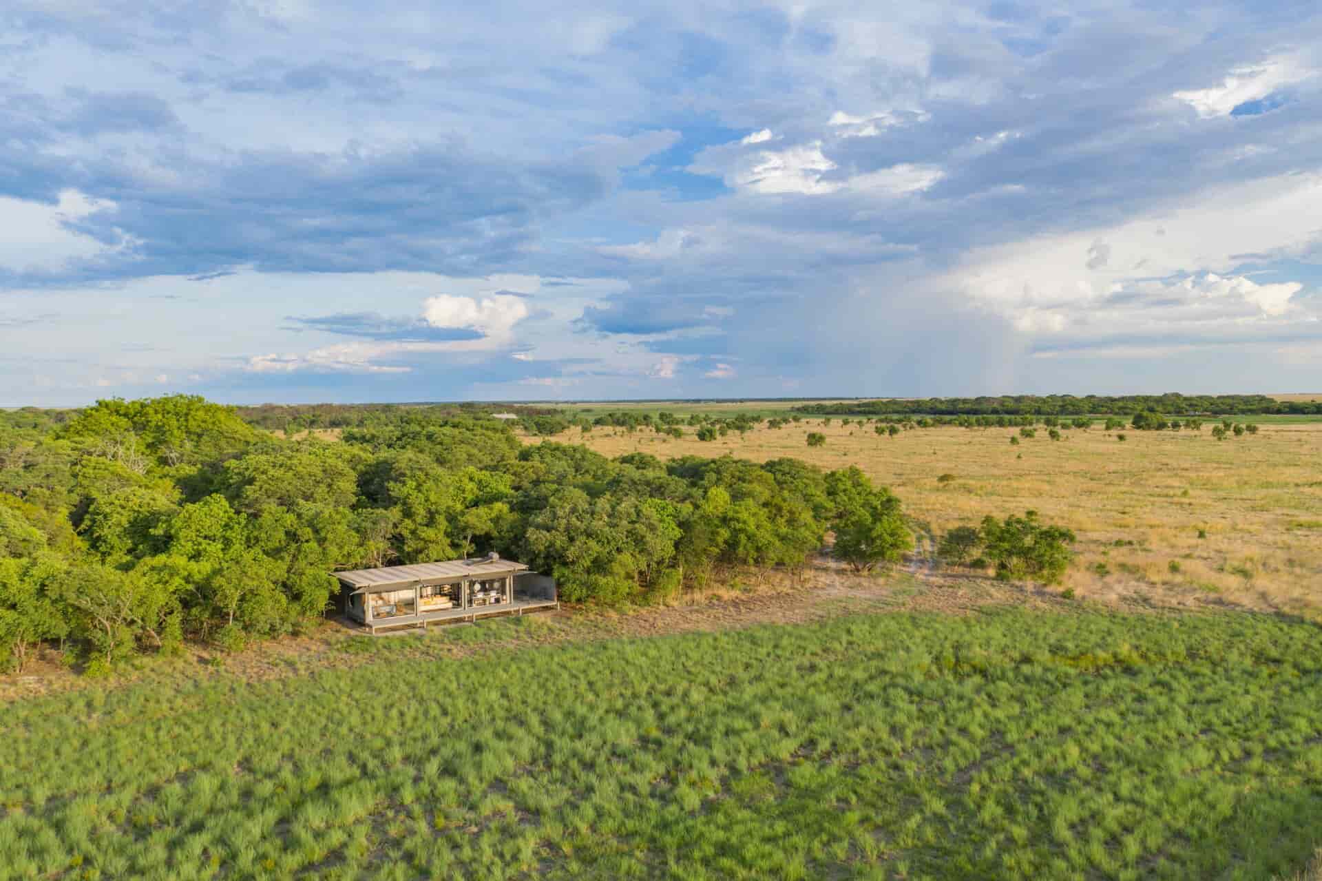 The Great Migration: How To See The Greatest Show On Earth