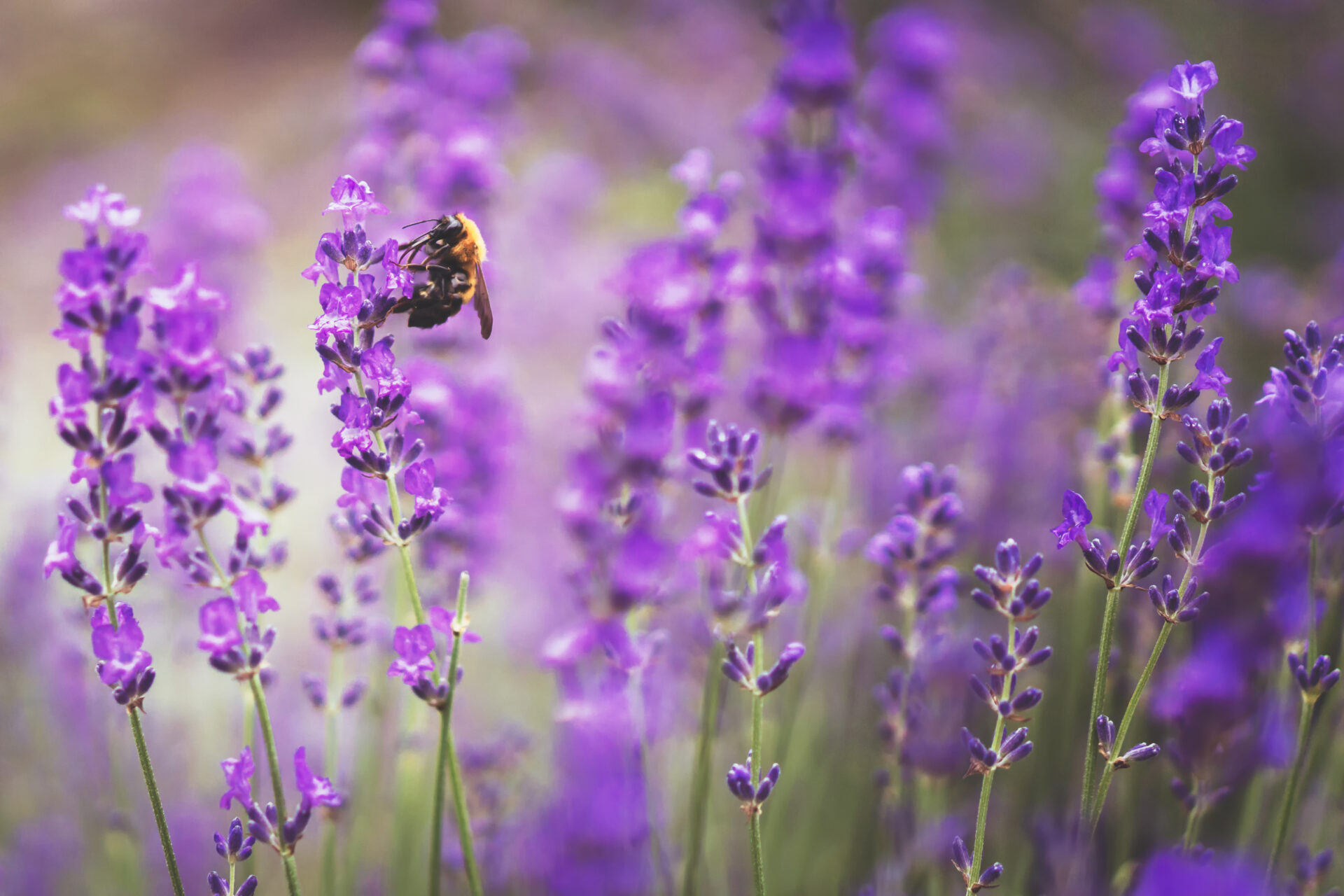 Ten Easy Ways To Reduce Your Carbon Footprint... Now