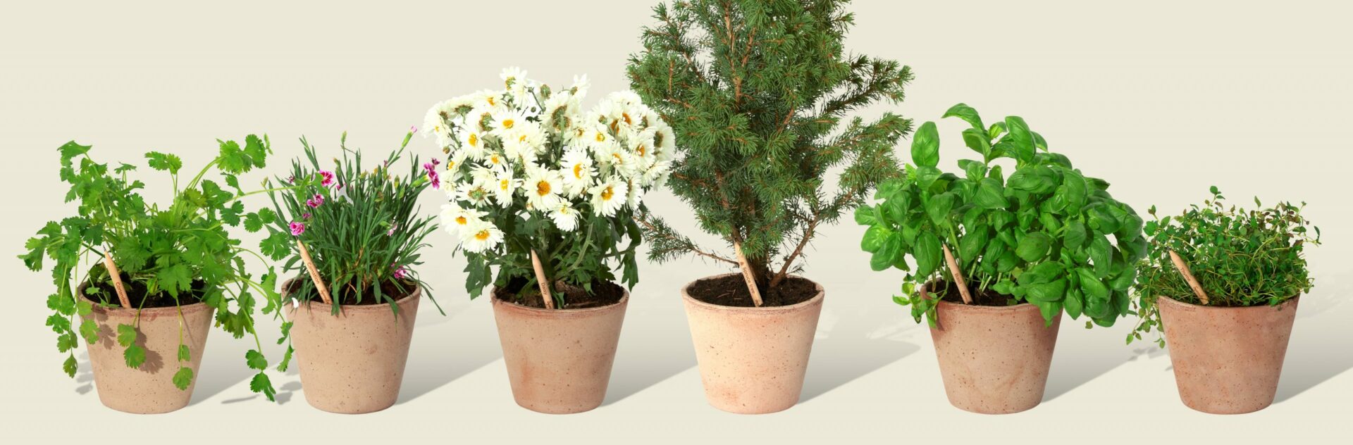 Michael Stausholm: Founder Of Sproutworld, The First Ever Plantable Pencil