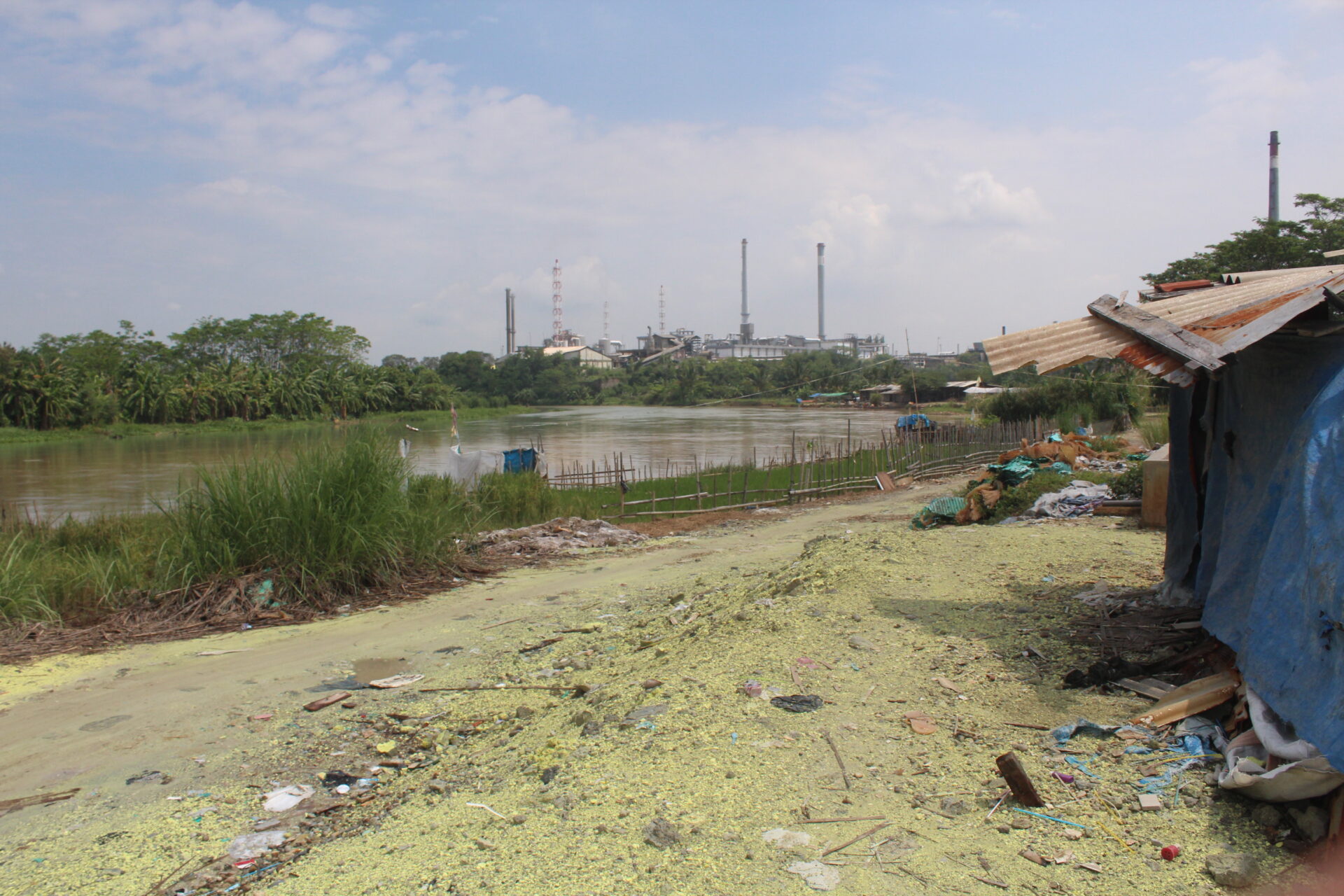 Viscose: The Ugly Side To Your Pretty Clothes - The Ethicalist