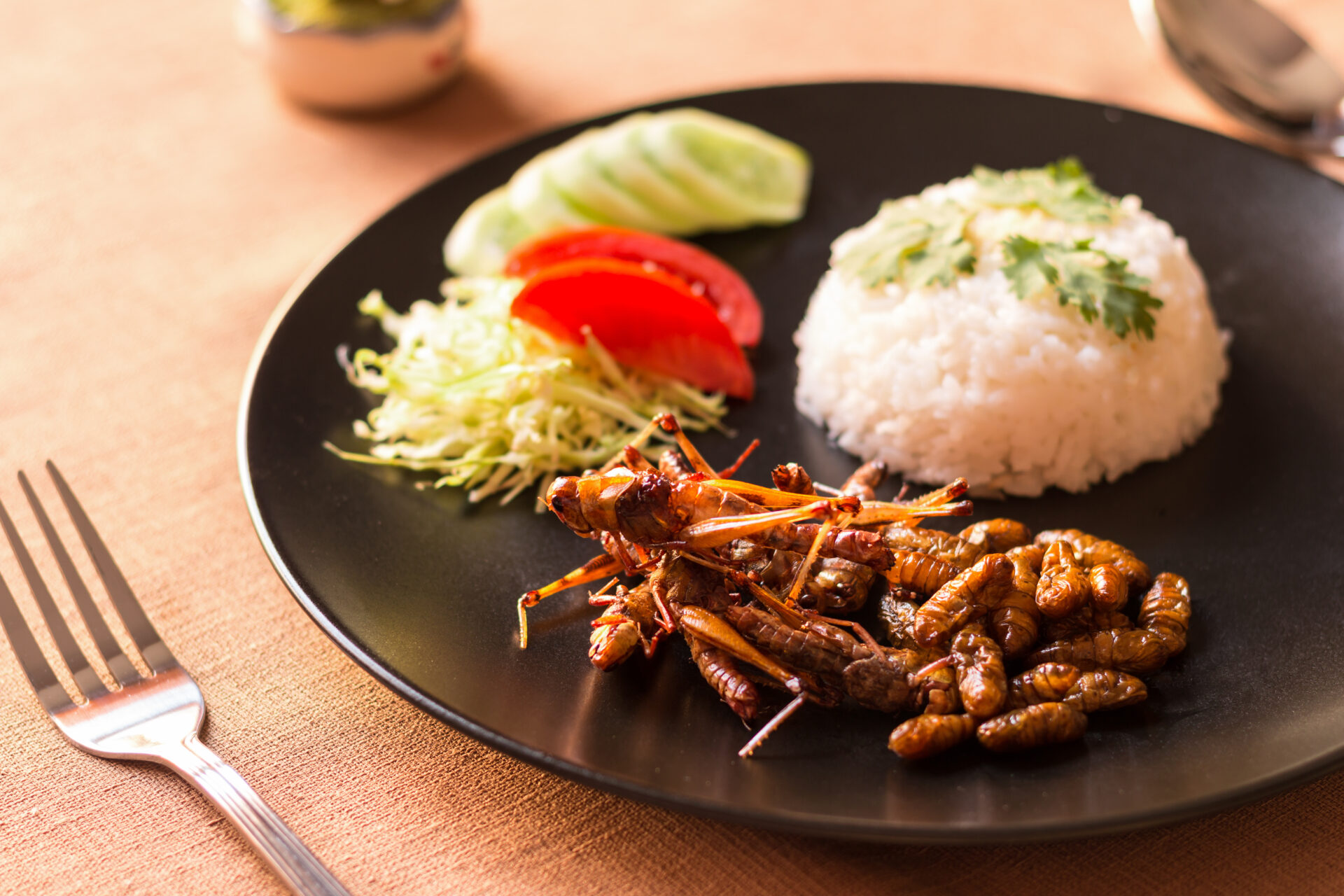 Why Insects Are Crawling Onto Menus As Future Of Food