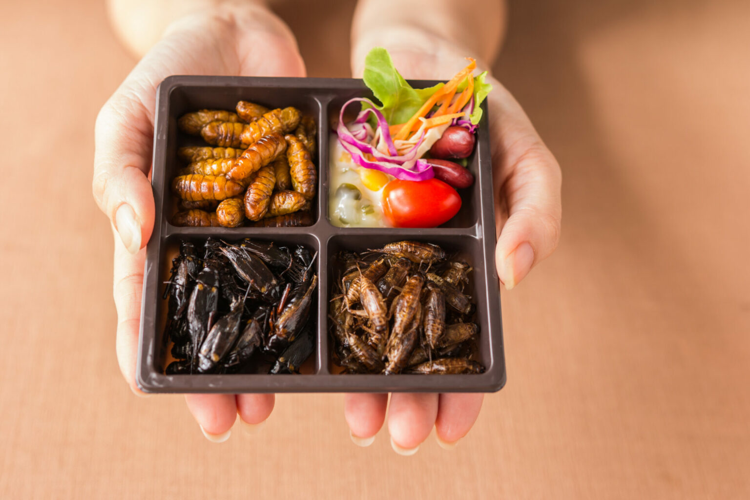 Why Insects Are Crawling Onto Menus As Future Of Food