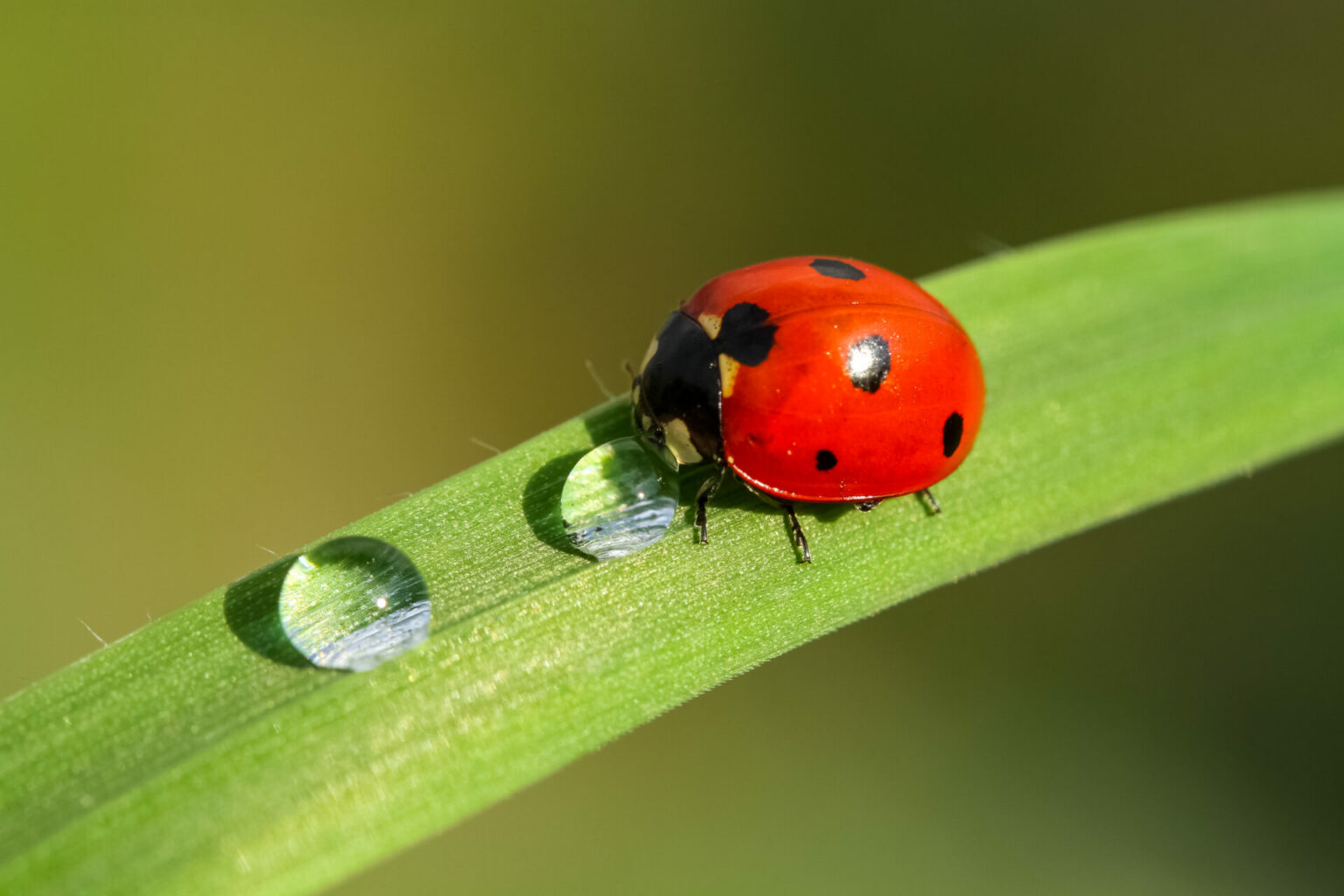 8-simple-ways-to-make-your-garden-more-sustainable