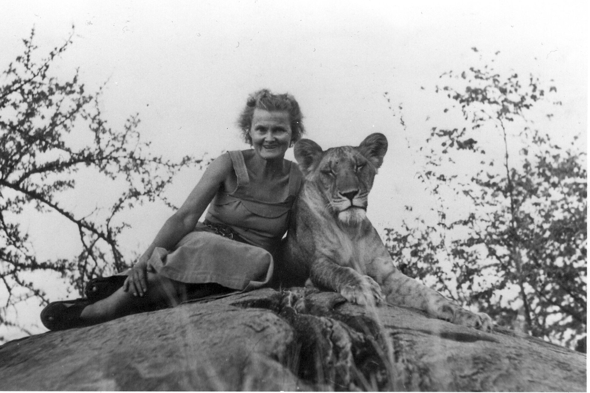 How Born Free Legacy Made Roaring Success Of Saving Lions