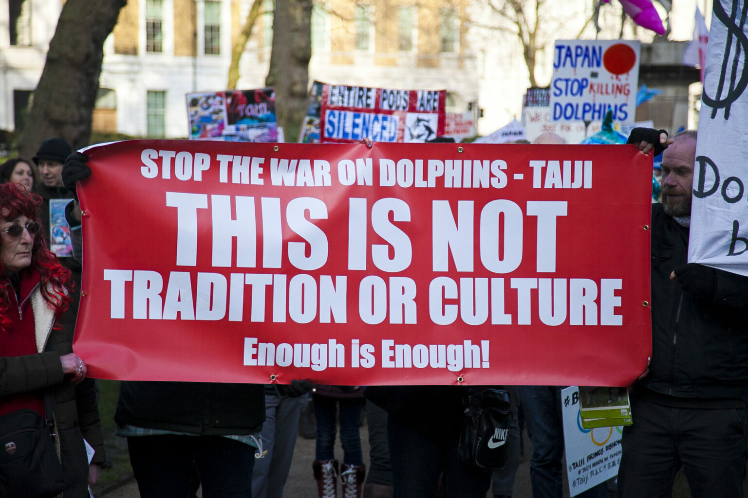 Taiji’s Brutal Dolphin Hunt Season Starts With Slaughter - The Ethicalist