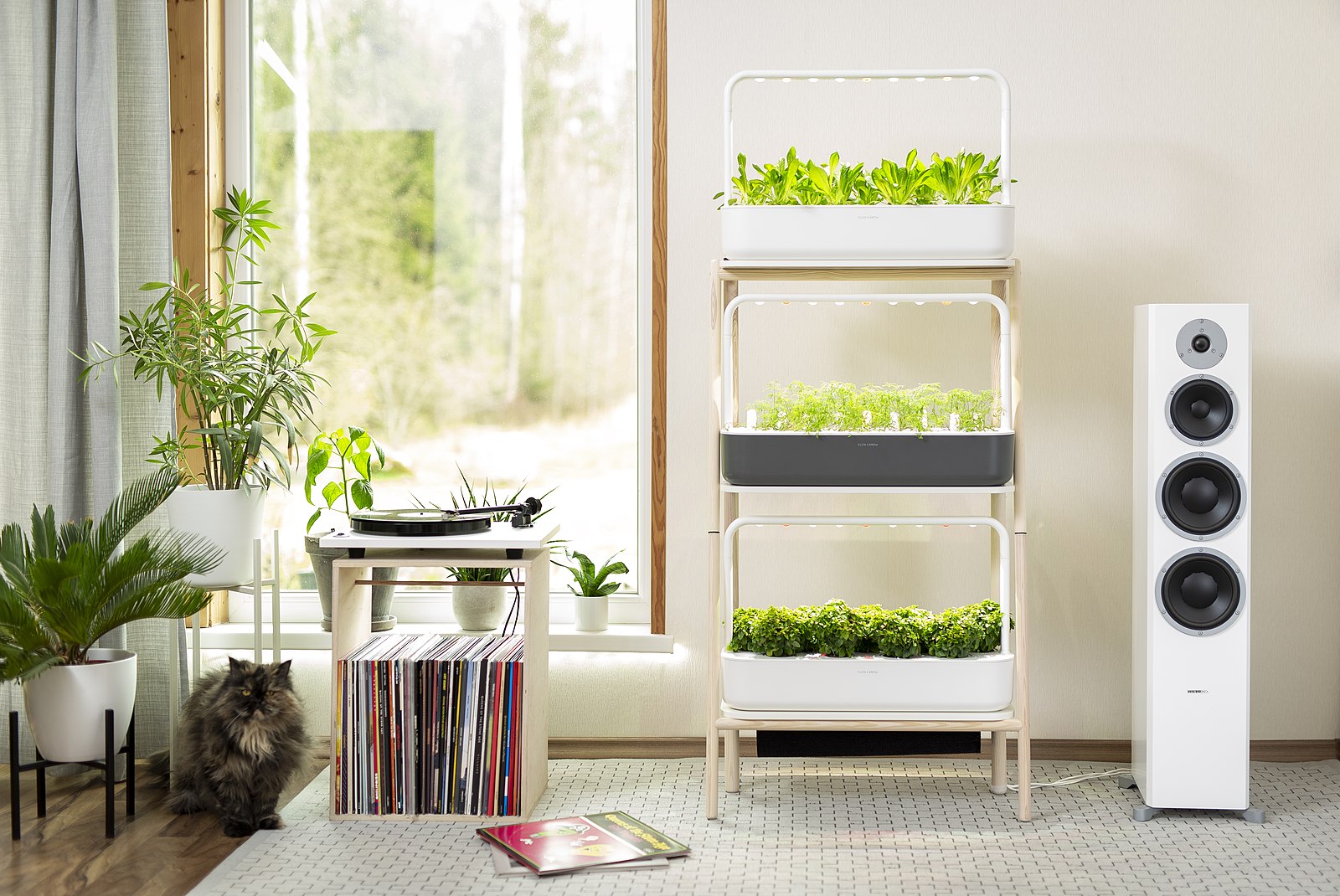 Grow Veg From Your Kitchen Counter With A Smart Garden – It Helps ...