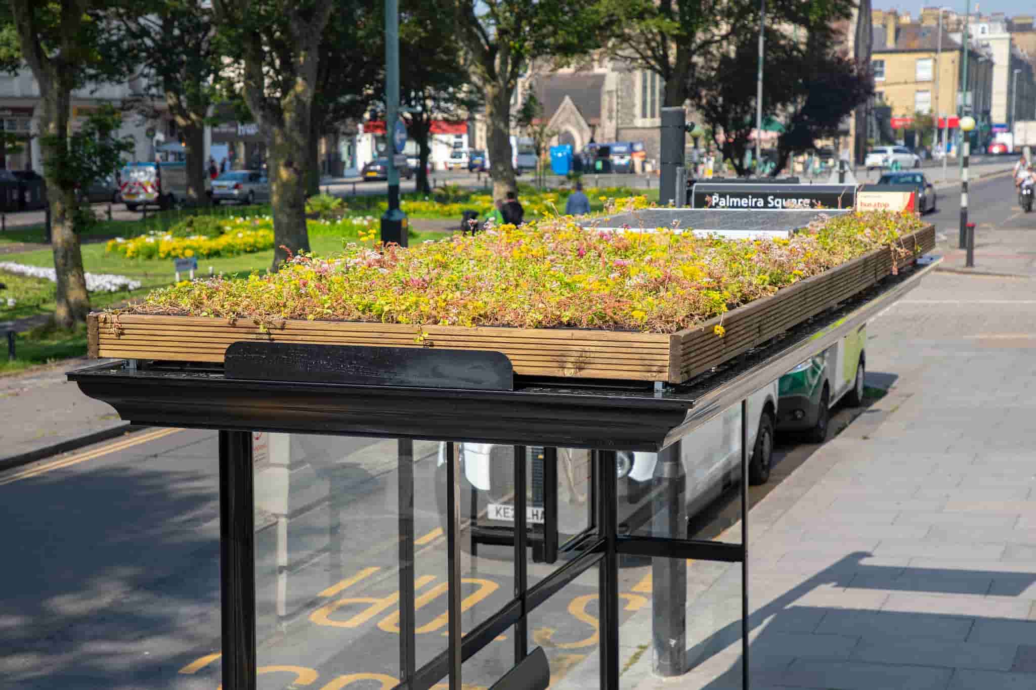 The Awesome Bee ‘Buzz Stops’ Turning Bus Shelters Into Mini Meadows ...
