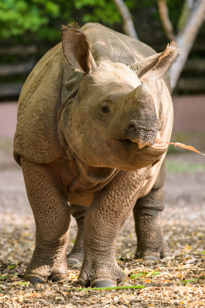 The One Million ... From The Poet Who Dedicates His Work To The World’s ...