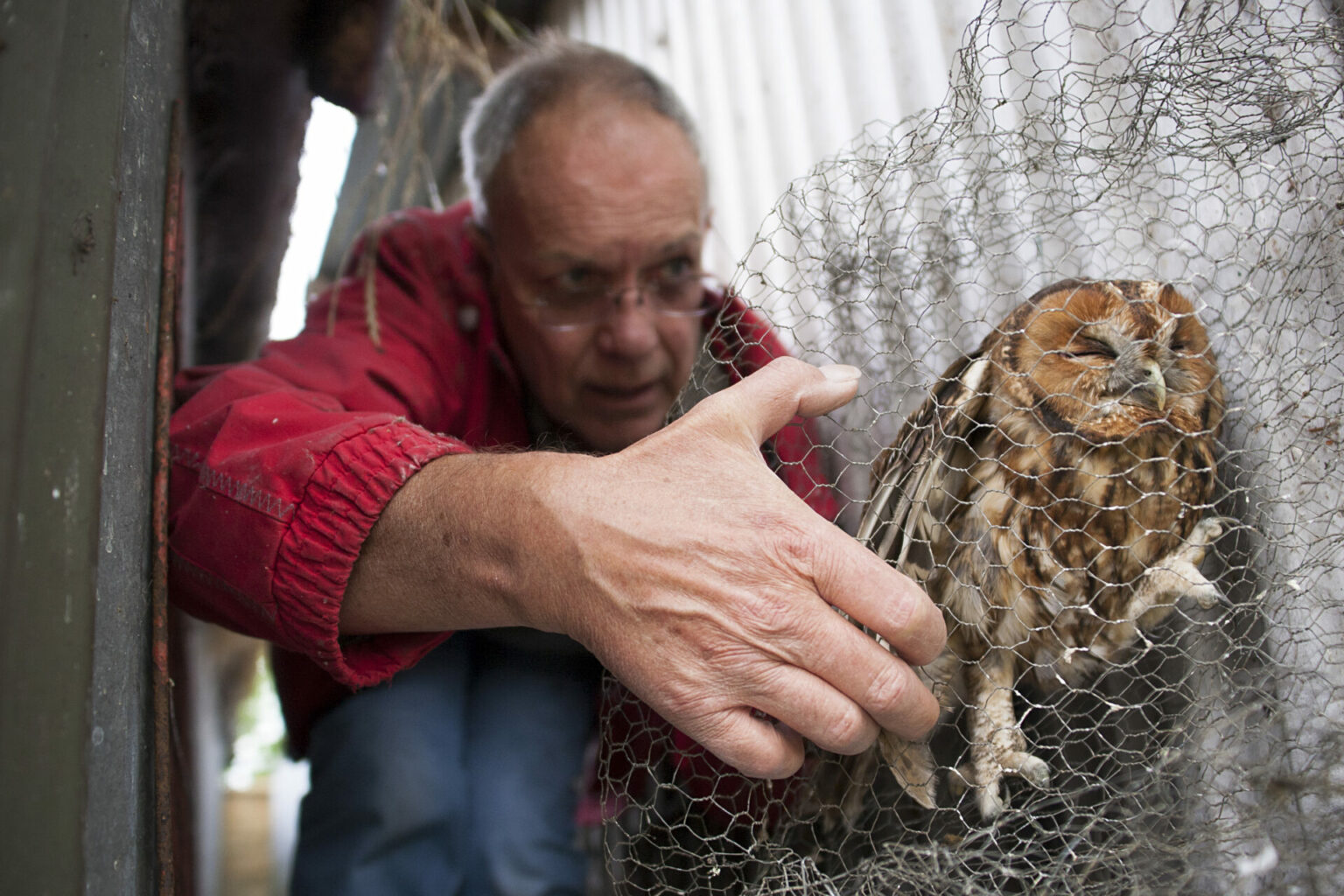 Wildlife Conservationist's Dying Wish To Save More Animals