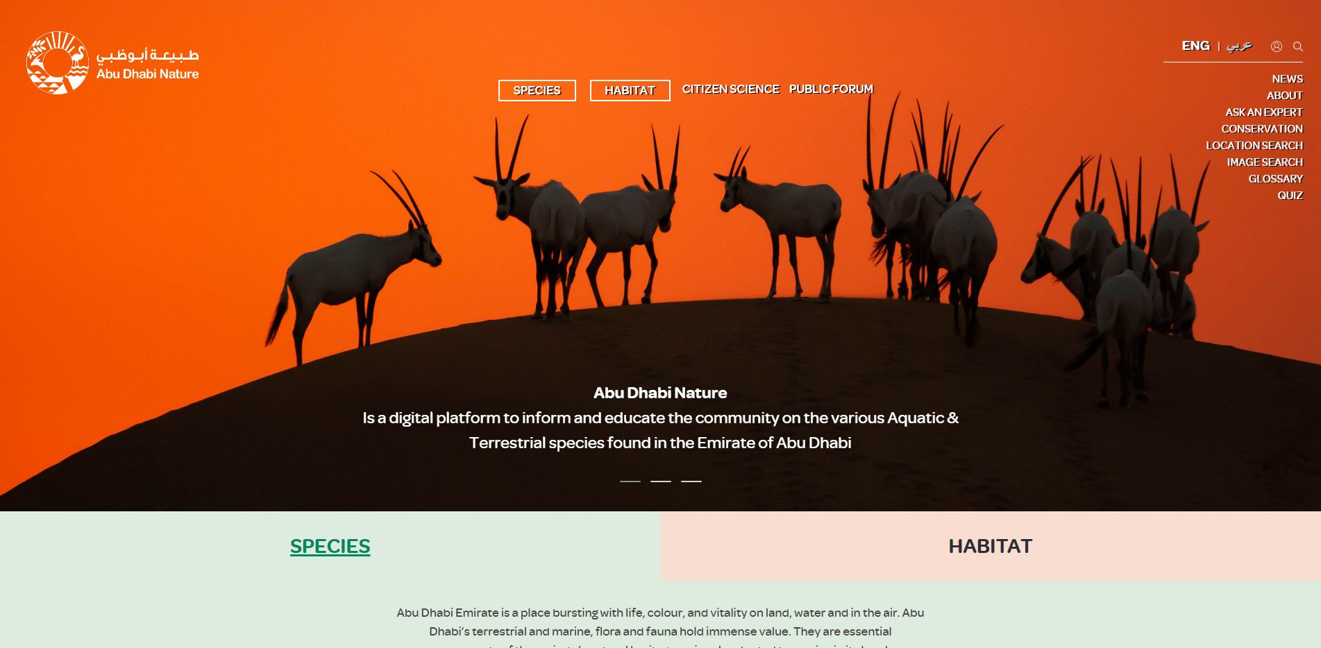 New Abu Dhabi Nature App Allows Residents To Log Wildlife Sightings ...