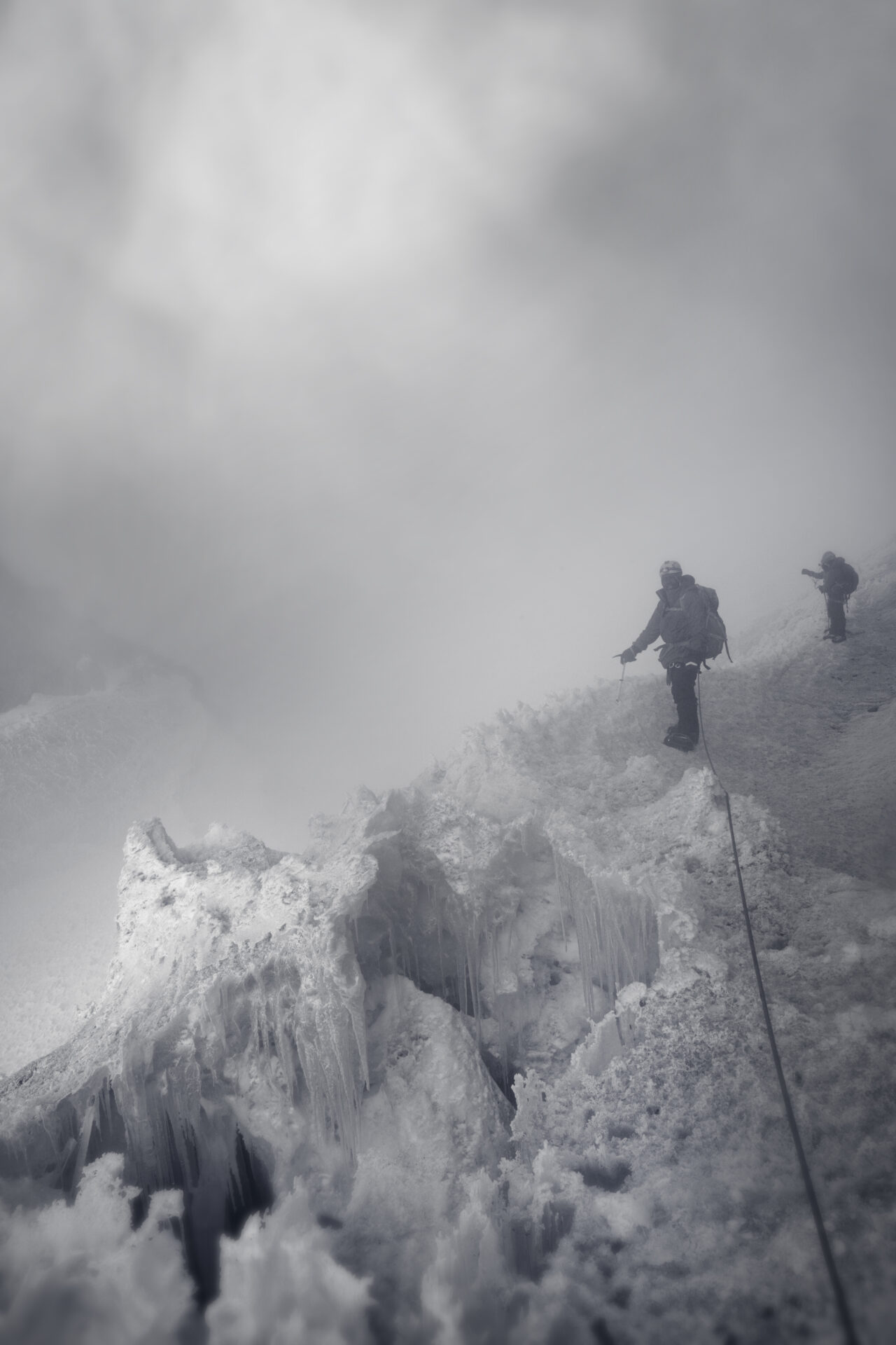 Incredible Journey Up The Mountains Of The Moon