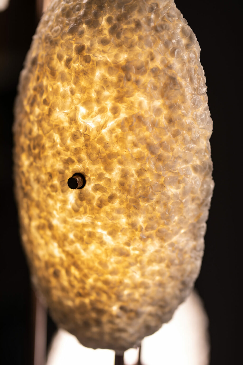 Interior Decor Made From Date Seeds, Fish Scales And Tea