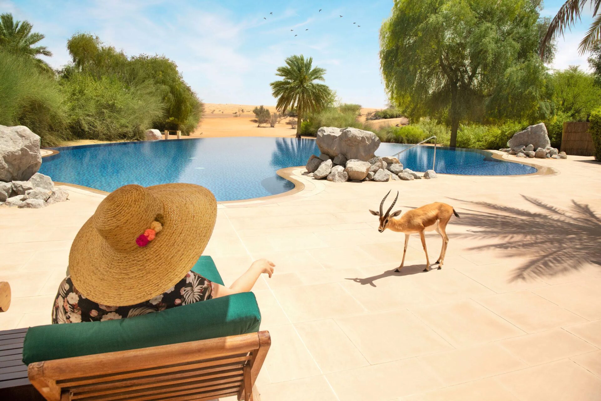 5 UAE Desert Resorts Offering Exceptional Eco Experiences