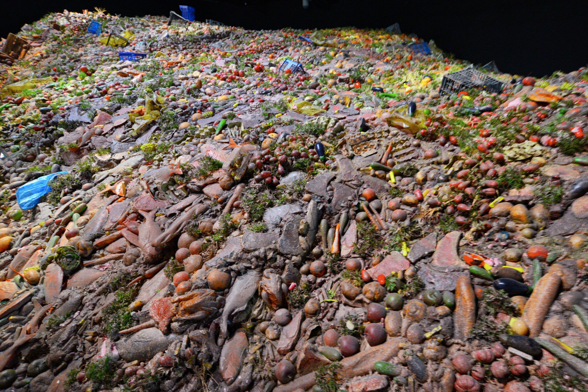 Dumpster Diving Death Shows Appetite For Reducing Food Waste