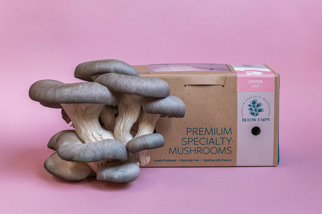 7 Fun And Fascinating UAE Farm-To-Fork Tours - The Ethicalist