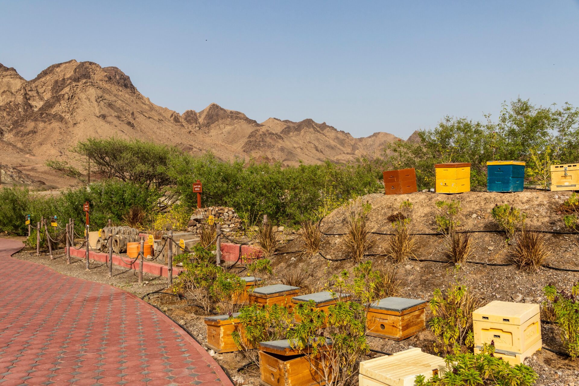 7 Fun And Fascinating UAE Farm-To-Fork Tours - The Ethicalist