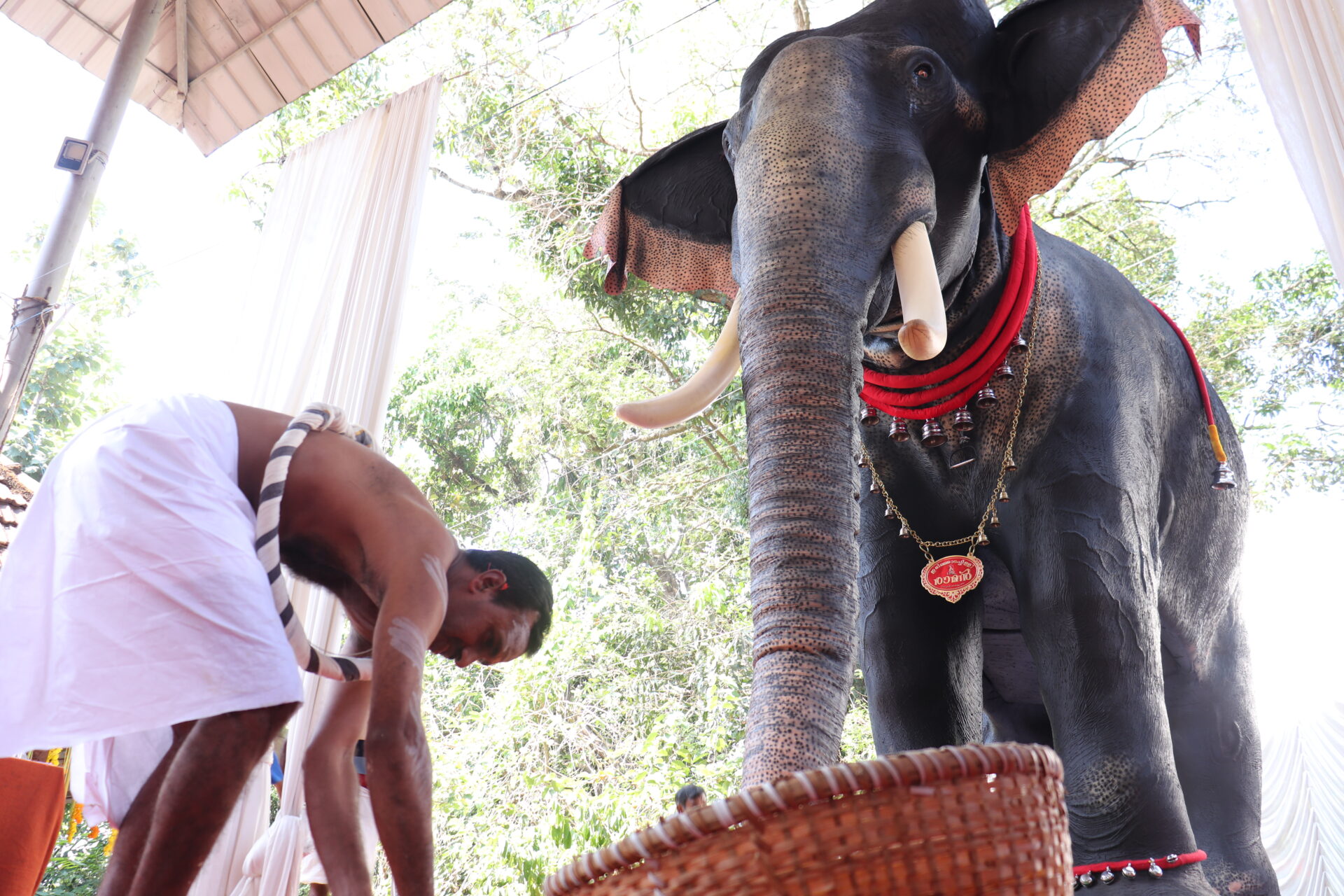 Realistic Robot Elephant Amazes At Indian Temple Ritual