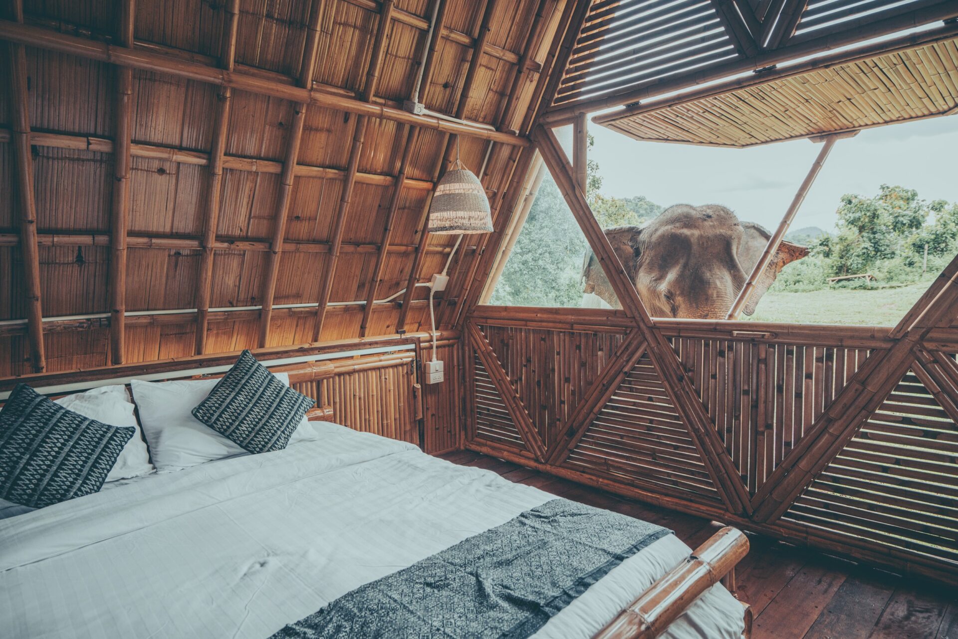 Living With Giants At Chai Lai Orchid Elephant Sanctuary