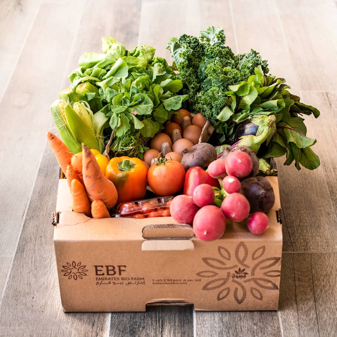 8 UAE Grocery Stores Stocking Sustainable Produce