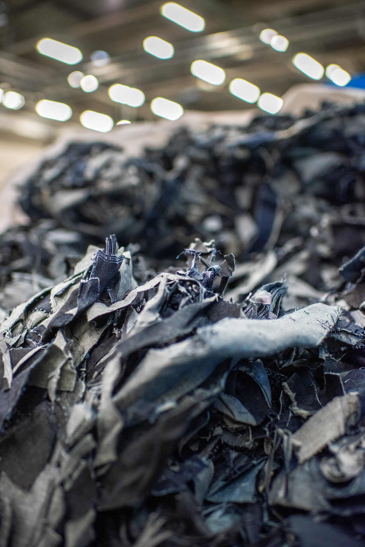 Brand New Circulose Is Revolutionising The Fashion Industry