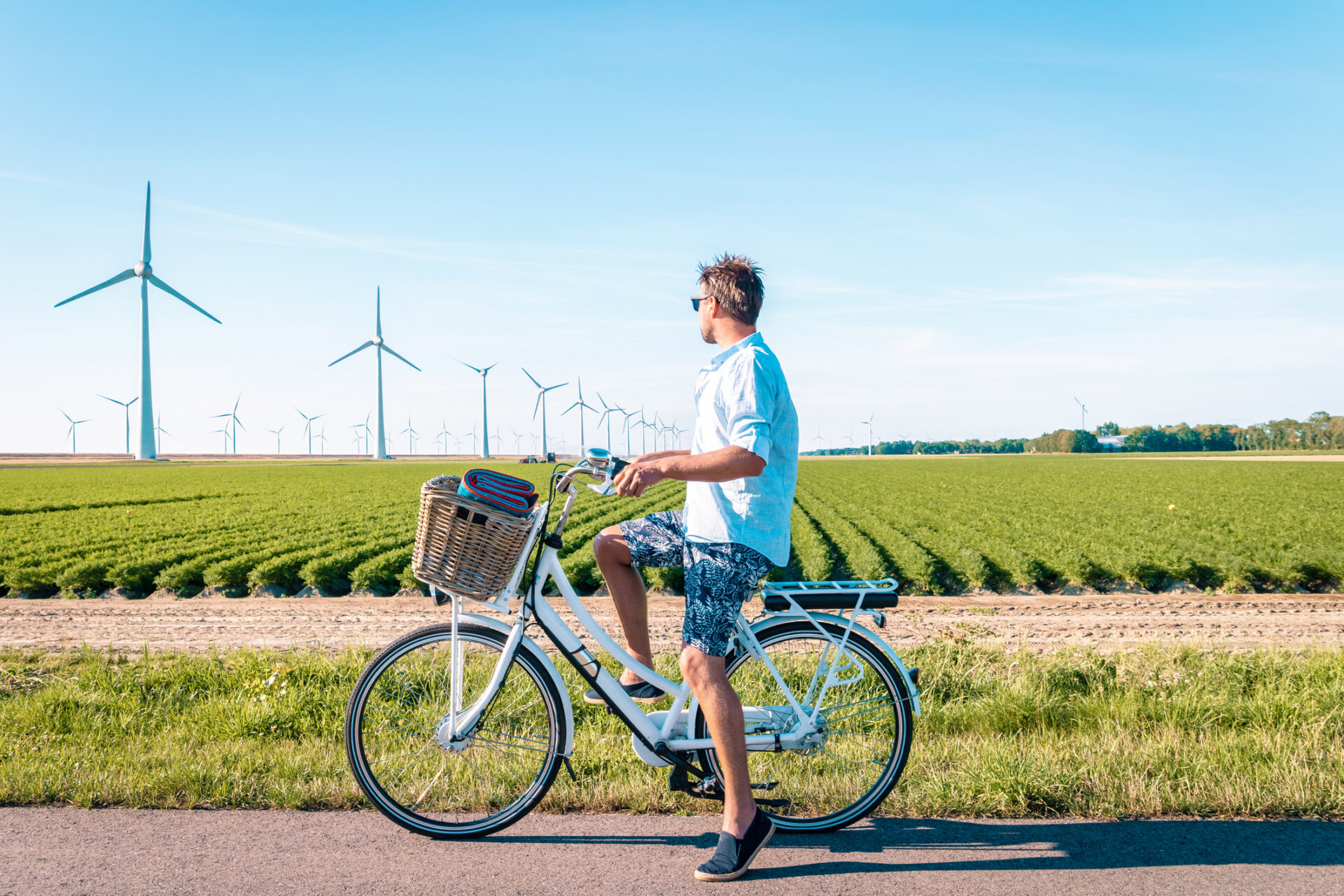 Pedal Power: How Bicycles Are The Green Fuel Of The Future