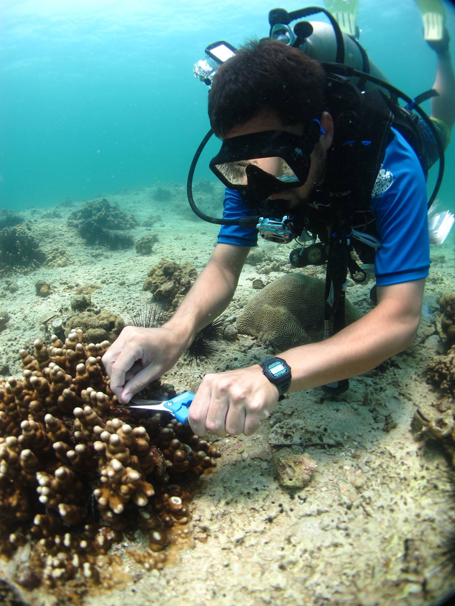 World Ocean Day: Meet 6 UAE Heroes Saving Our Seas