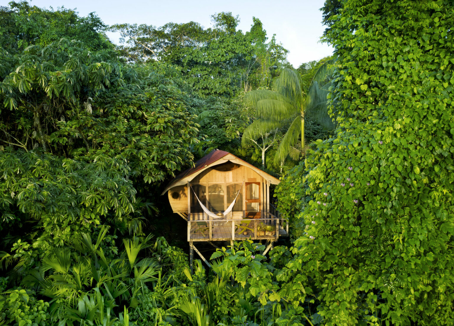 Calanoa Amazonas Offers An Amazing Amazonian Adventure