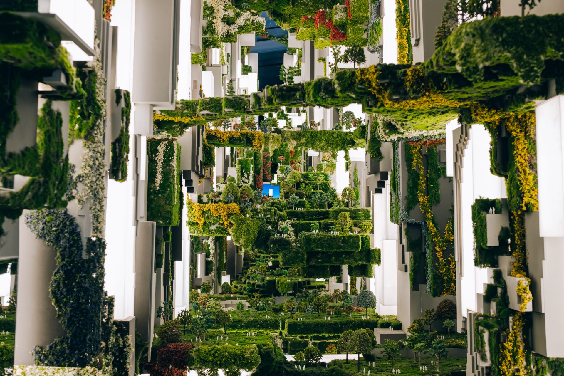 Finding NEOM: The Futuristic Carbon Neutral City