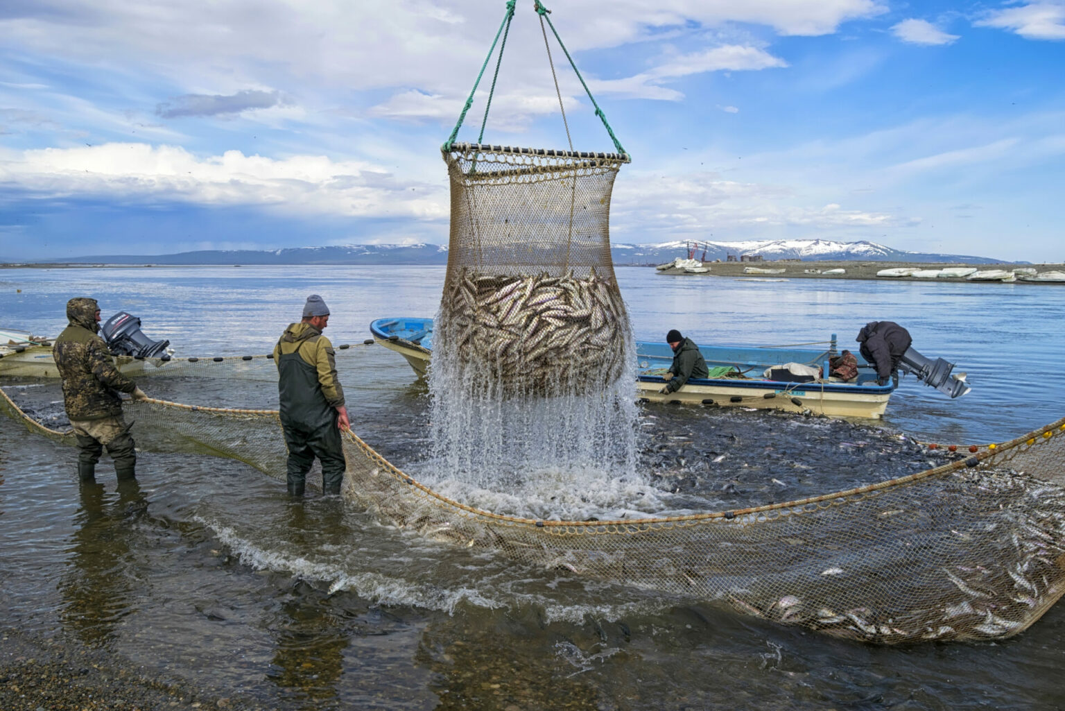 The Future Of Fish: Can Seafood And Sustainability Coexist? - The ...