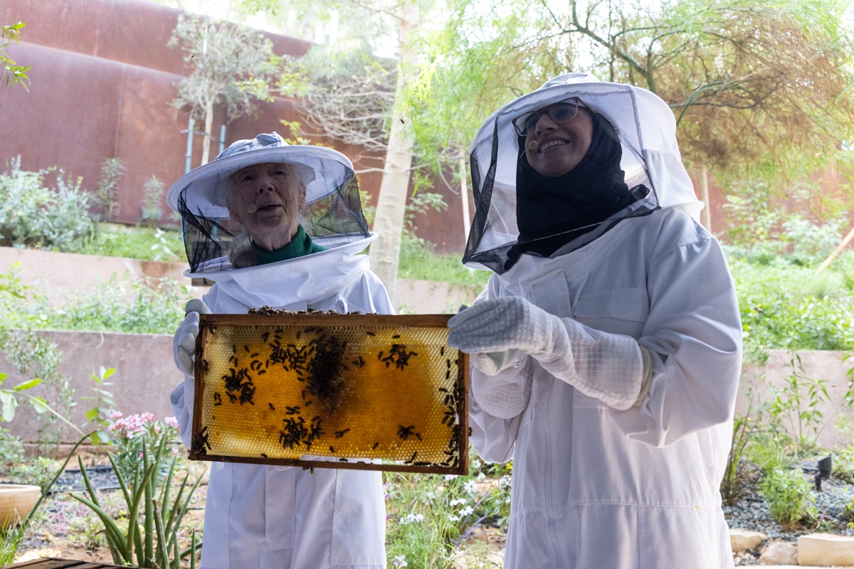 A Hive Of Hope: Jane Goodall Opens Dubai Bee Sanctuary