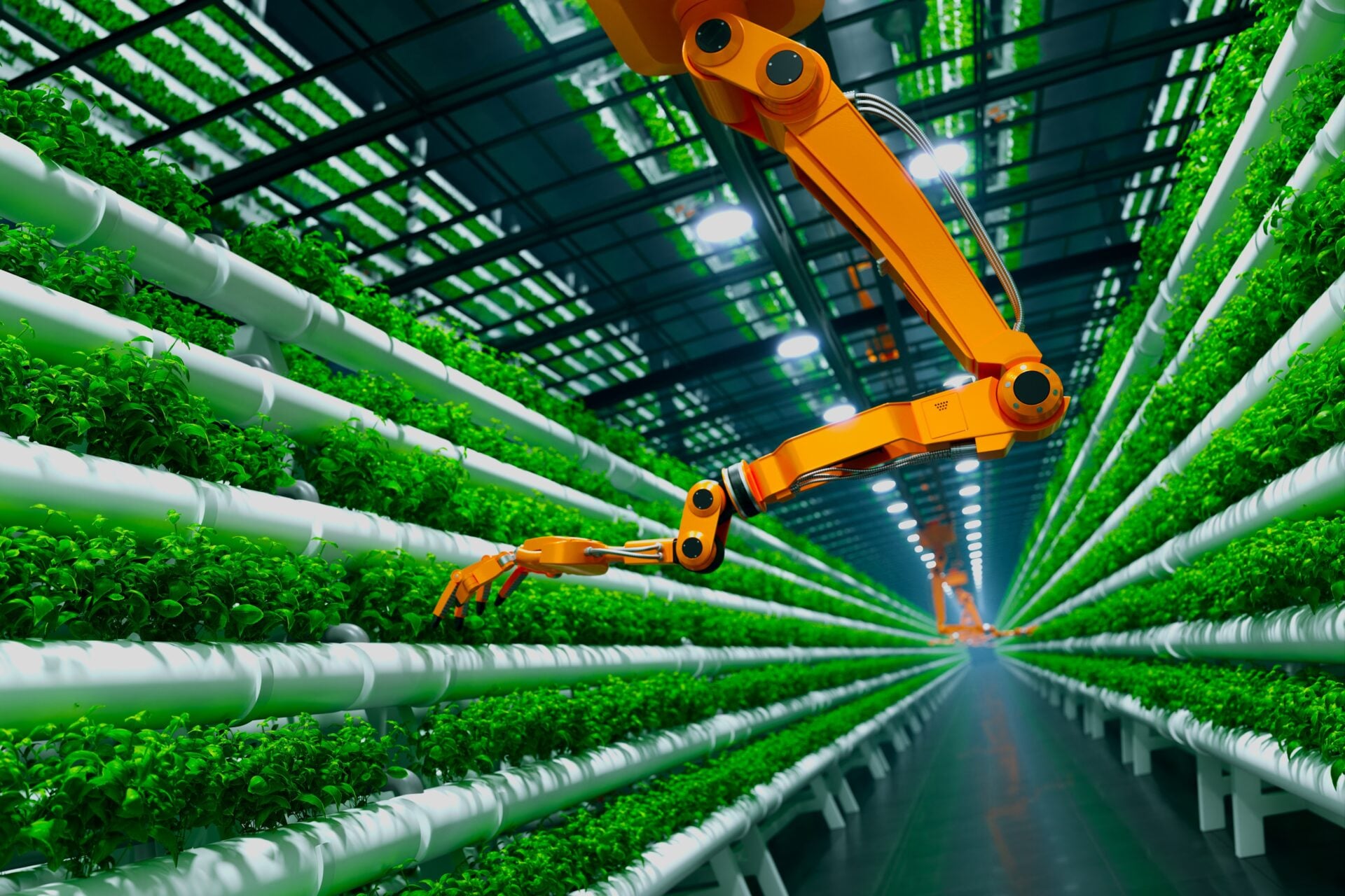 Why Dubai’s Global Vertical Farming Show 2025 Is One To Watch