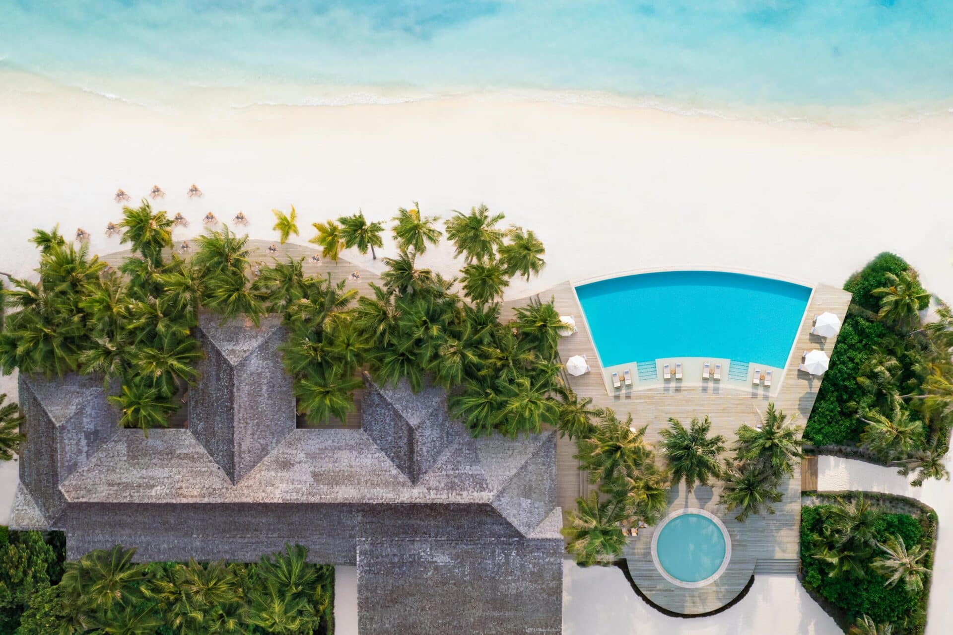 Jawakara Maldives And The World’s Most Advanced Sea Turtle Hospital ...